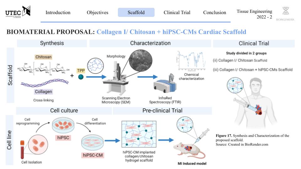 Injectable Collagen-Chitosan Hydrogel loaded with Human Induced Pluripotent Stem-Cells for ...