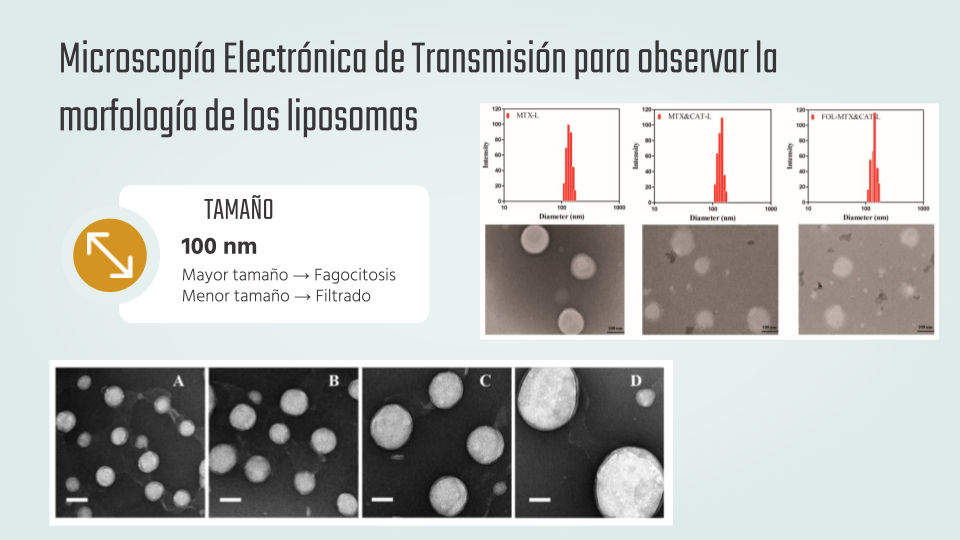 Polyethylene glycol (PEG) liposomes with folate for the delivery of methotrexate via intra ...