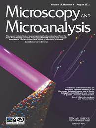 A New Tool for Automation of Focused Ion Beam Bitmap Milling of Two-and ...